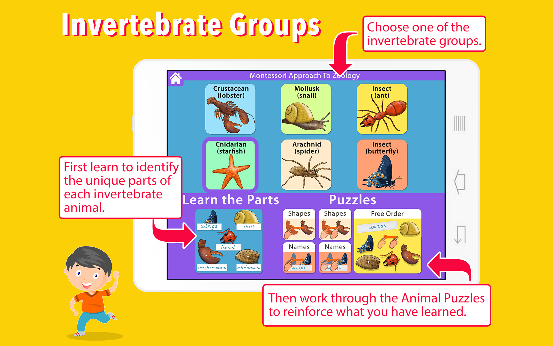 Montessori Zoology - Parts of Animals - Invertebrates - App on Amazon ...