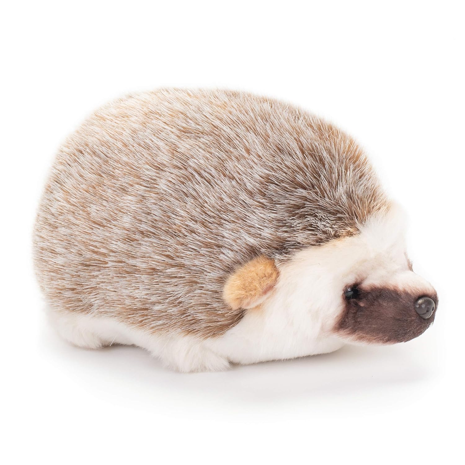 Amazon.com: DEMDACO Huddled Small Hedgehog Wispy Chestnut Children's ...