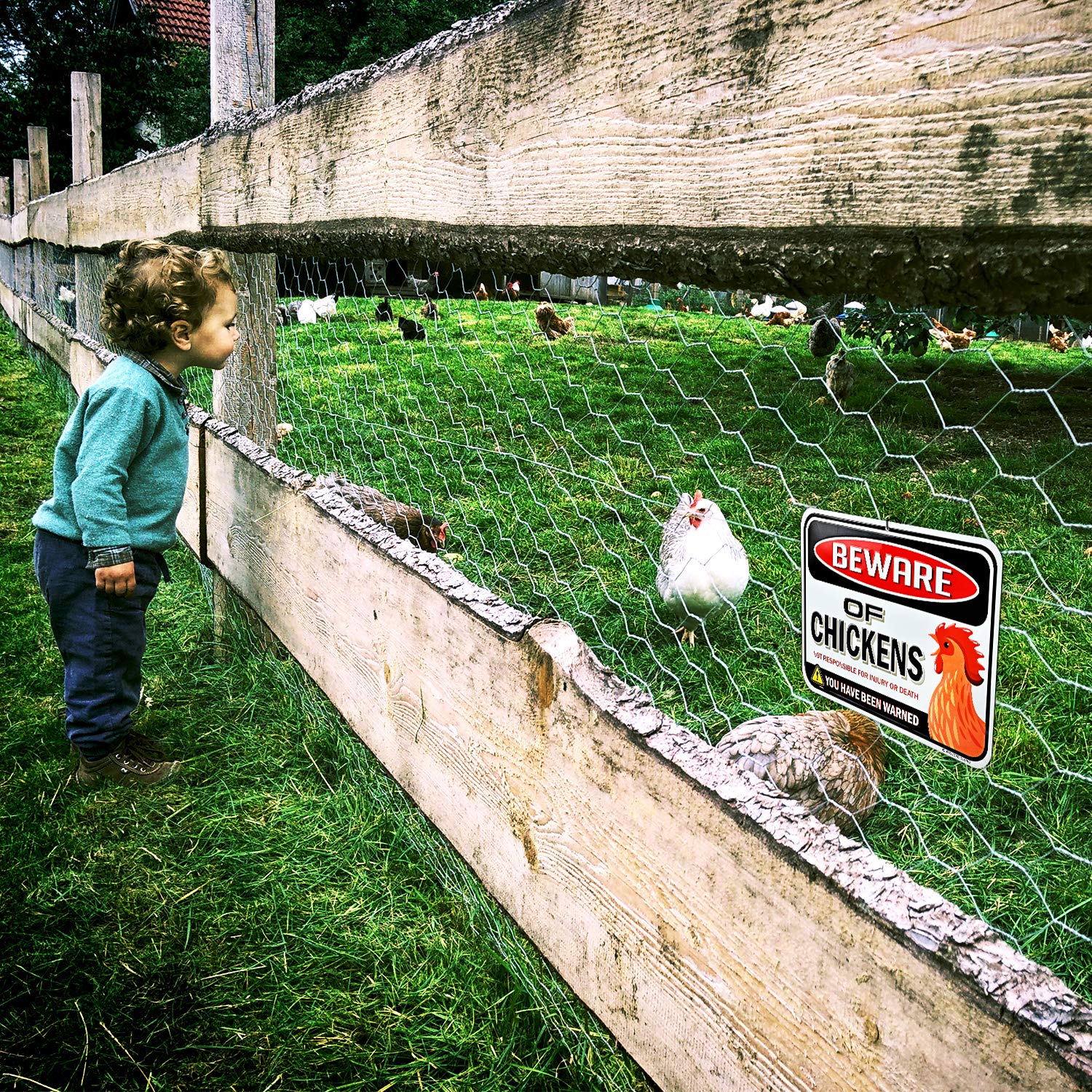 Buy Beware of Chickens Warning Sign - Embossed Metal - 9 inches x 12 ...