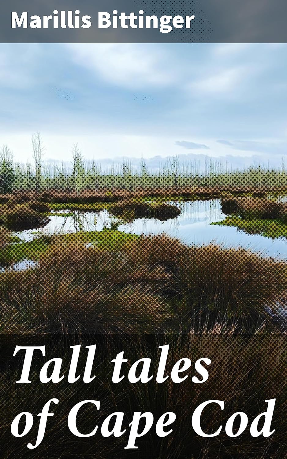 Amazon.com: Tall tales of Cape Cod: Whimsical Legends from the Cape Cod ...