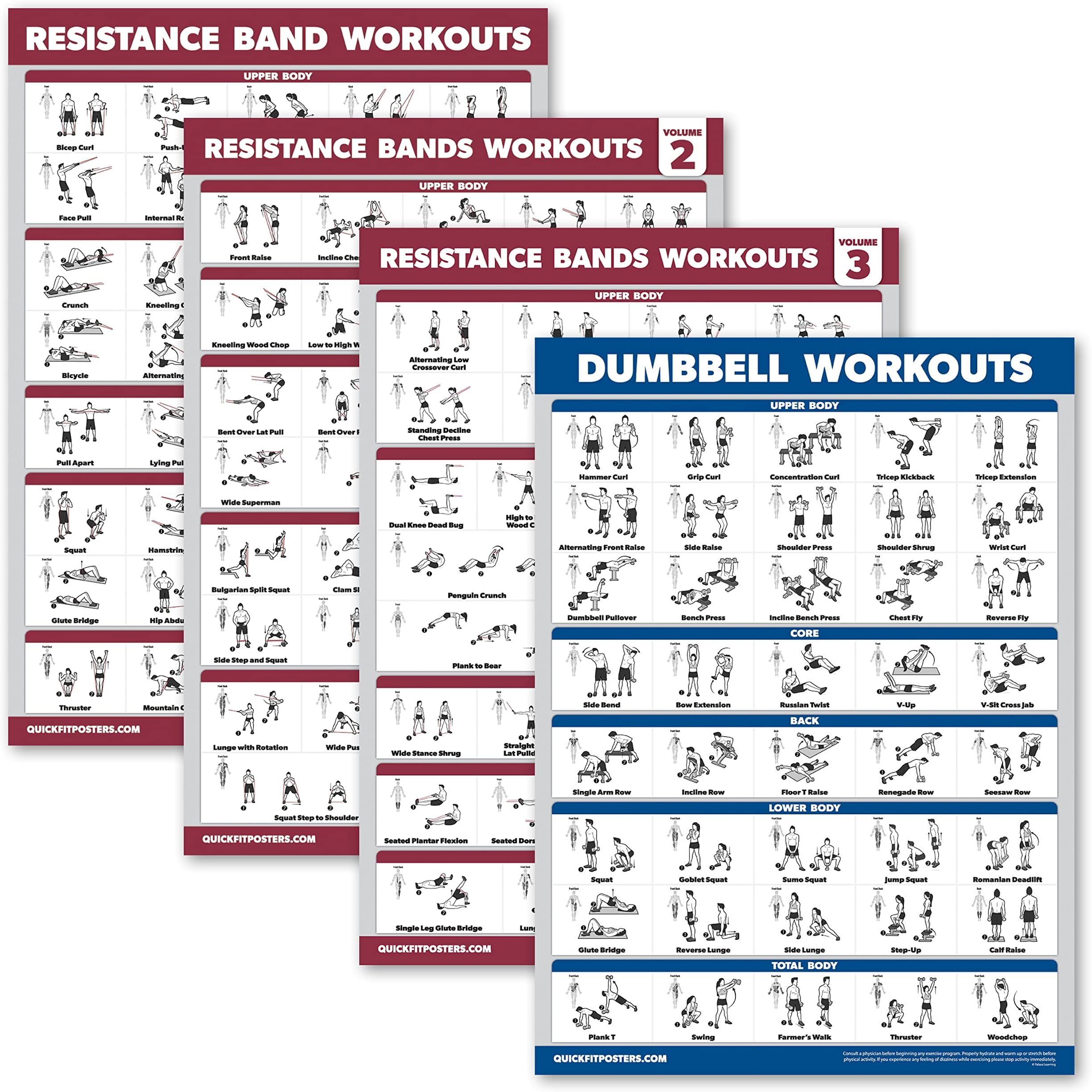 Amazon.com: Palace Learning QUICKFIT 2 Pack - Resistance Bands and ...