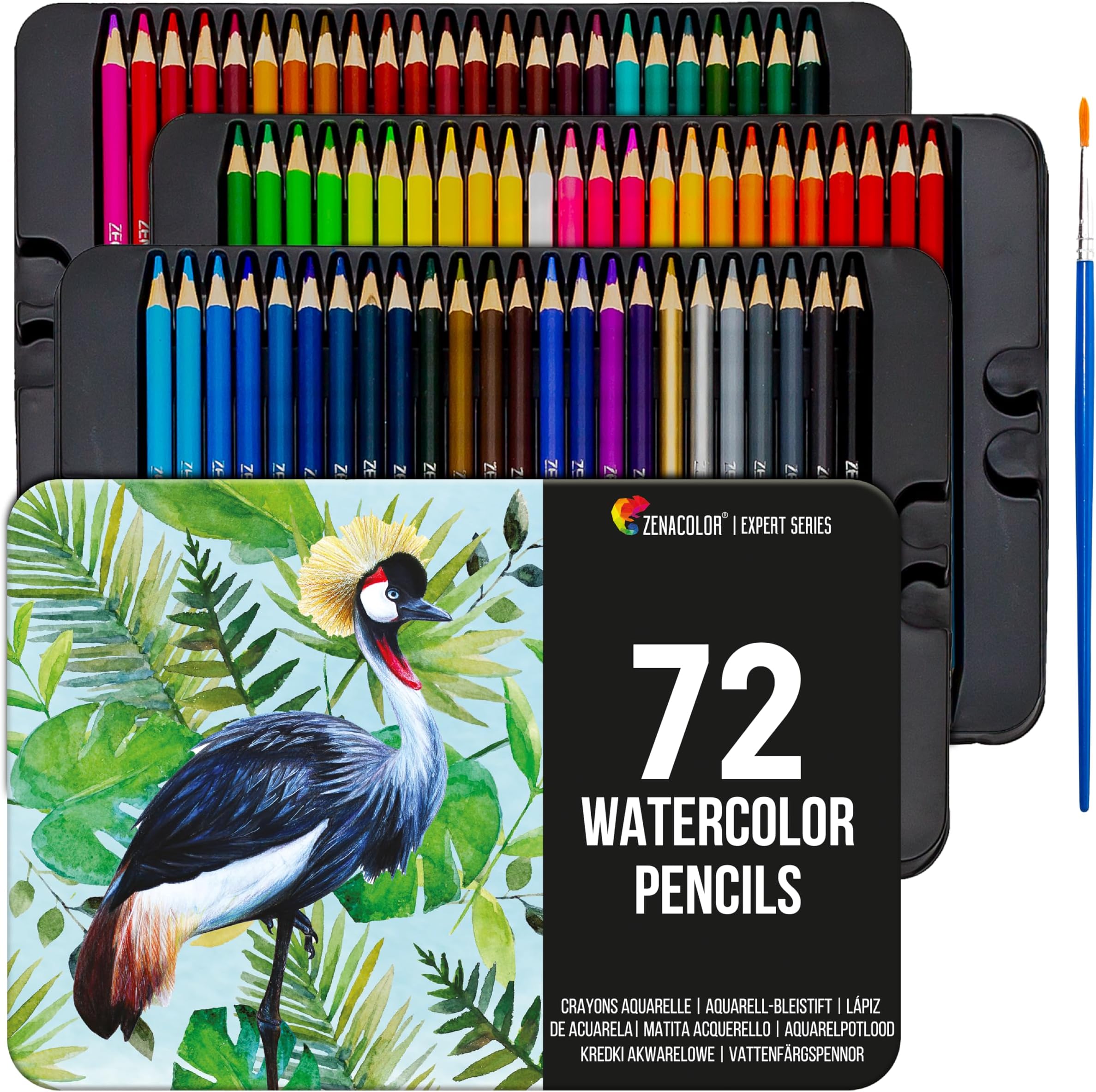 Amazon.com: Crayola Watercolor Colored Pencils (24ct), Watercolor Paint ...