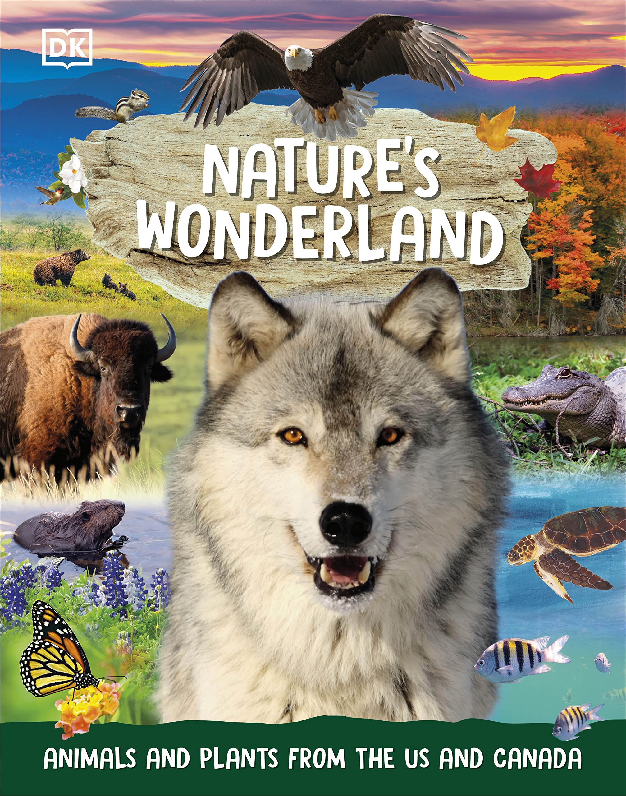Nature's Wonderland: Animals and Plants from the US and Canada: DK ...