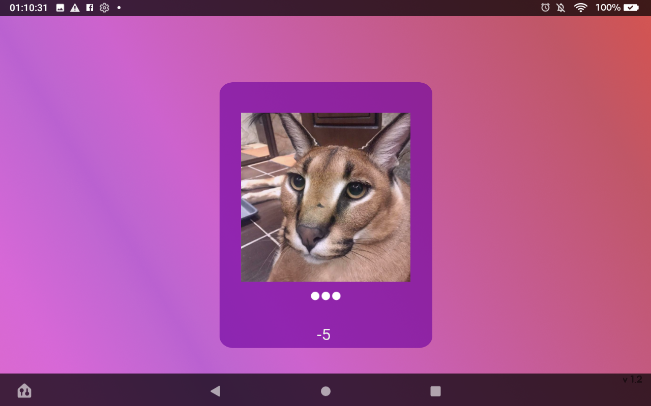 Bingus Slide - App on Amazon Appstore
