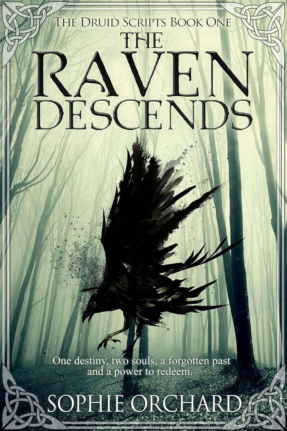 The Raven Descends: The Druid Scripts Book one eBook : Orchard, Sophie ...