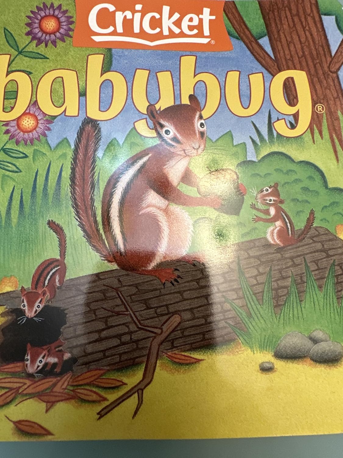 Cricket baby bug magazine, September 2023: Amazon.com: Books