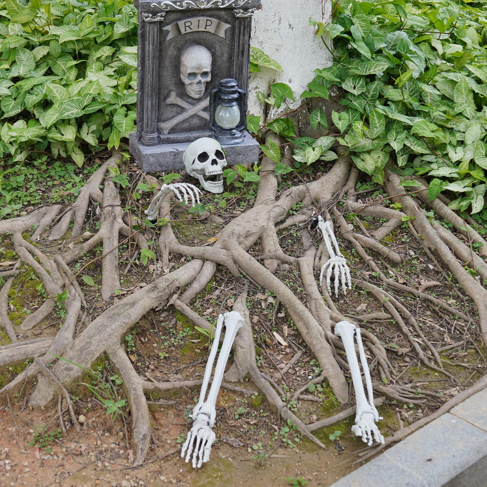 Amazon.com : Skeleton Décor Scary Halloween Decorations - 5PC/Set ...