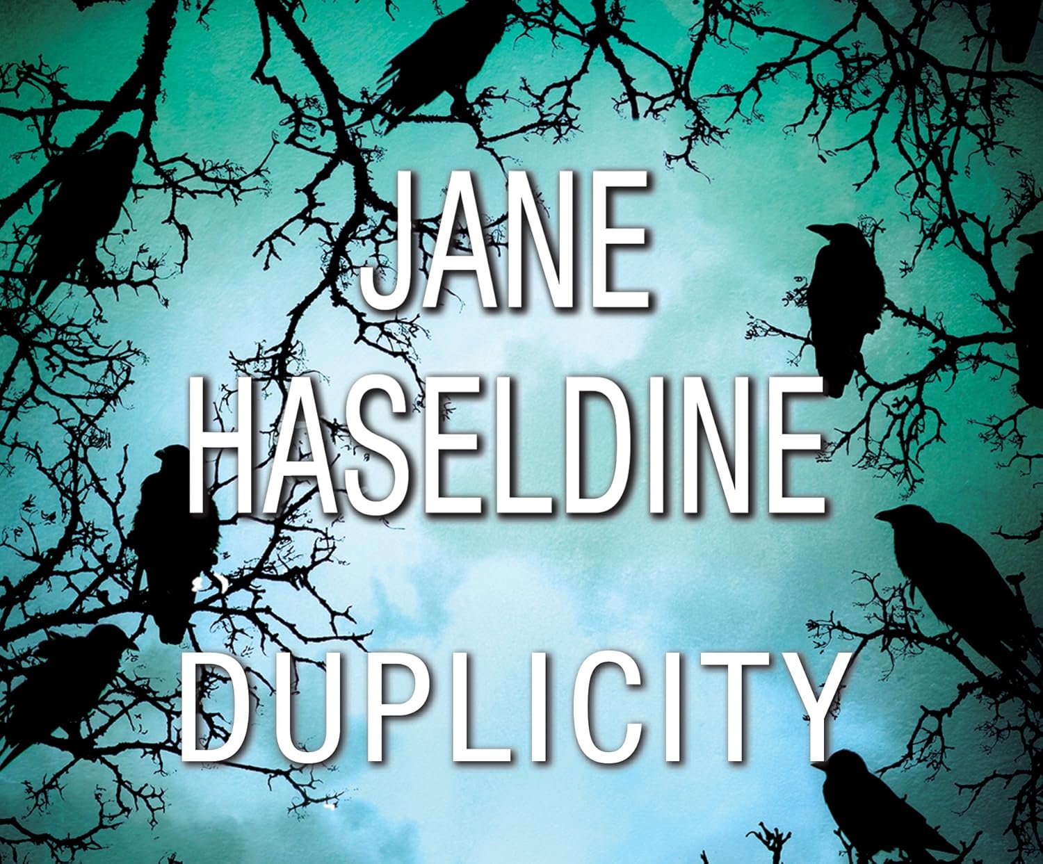 Duplicity (Julia Gooden Mystery, 2): Haseldine, Jane, Rudd, Kate ...