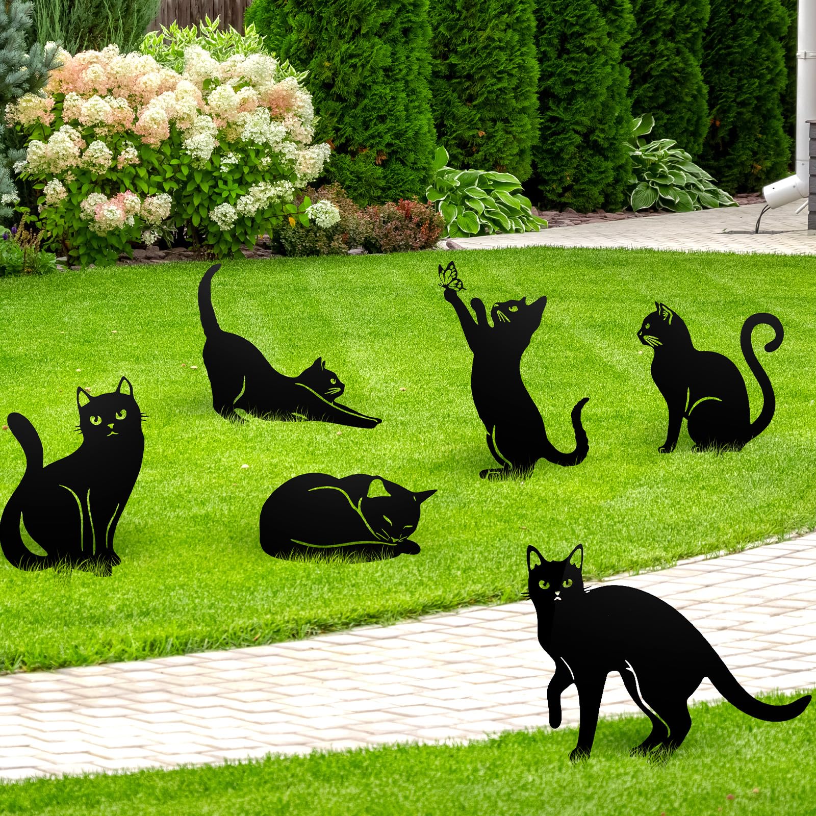 Black Cat Pictures Cute