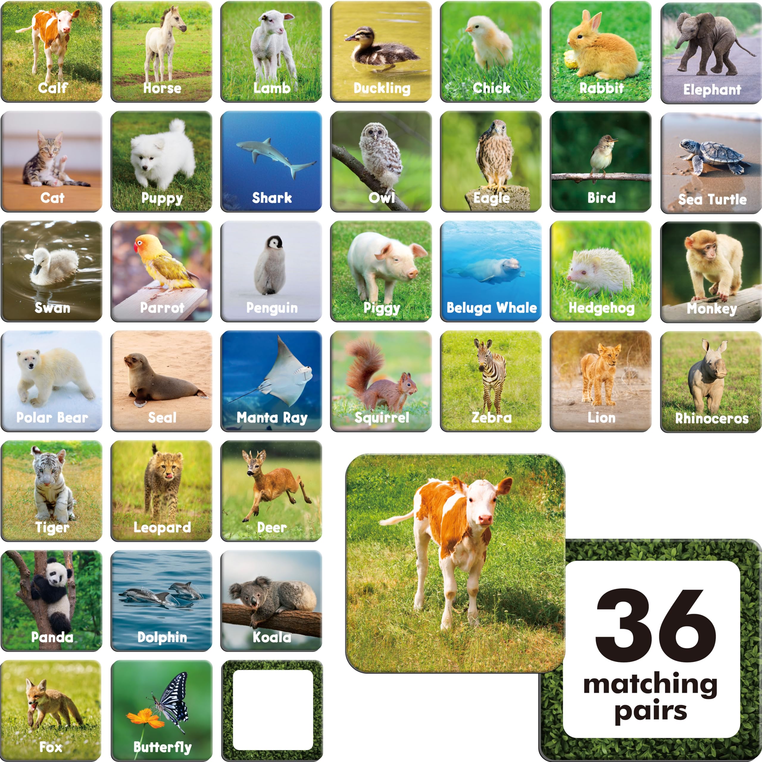 Amazon.com: Hebayy 72 PCS Memory Matching Game, Animal Baby Matching ...