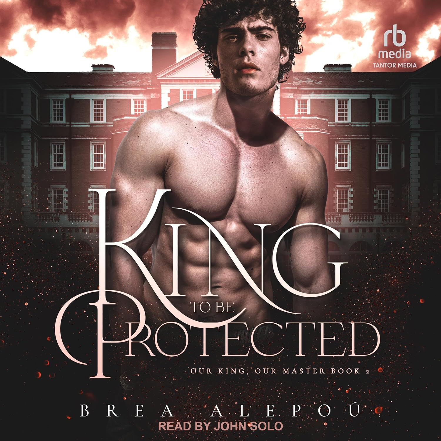 Amazon.com: A King to be Protected (Audible Audio Edition): Brea Alepoú ...