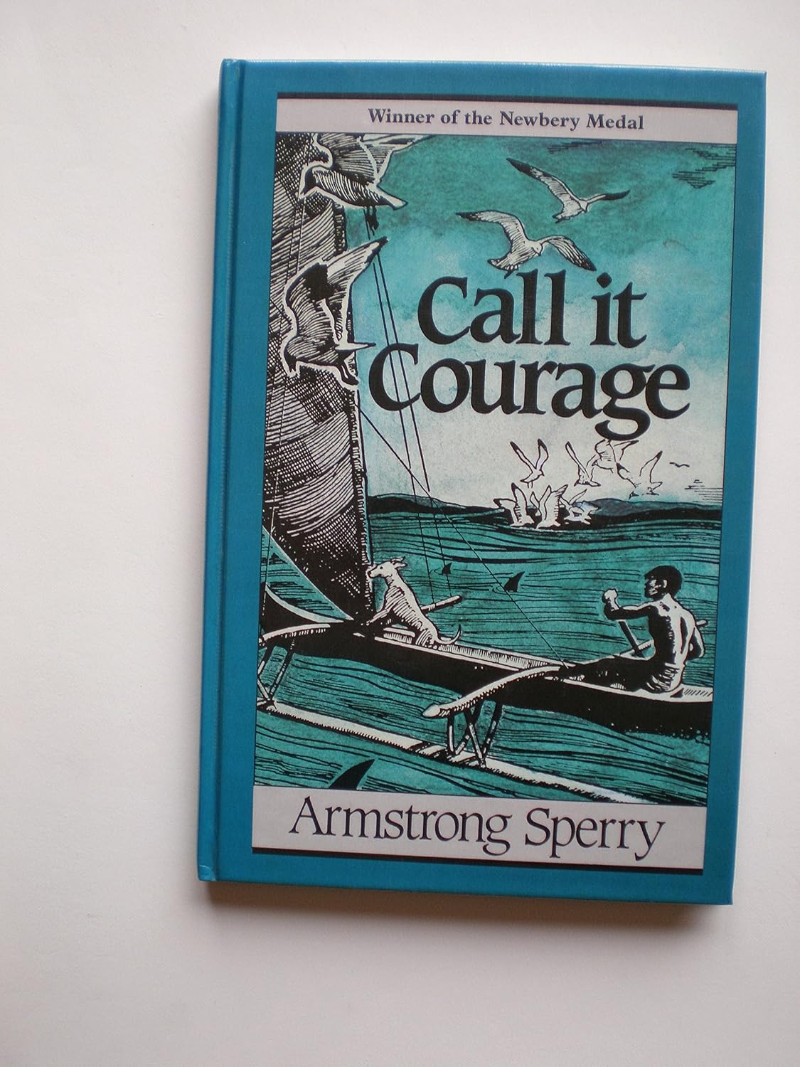 Call It Courage: Sperry, Armstrong: 9781557361479: Amazon.com: Books