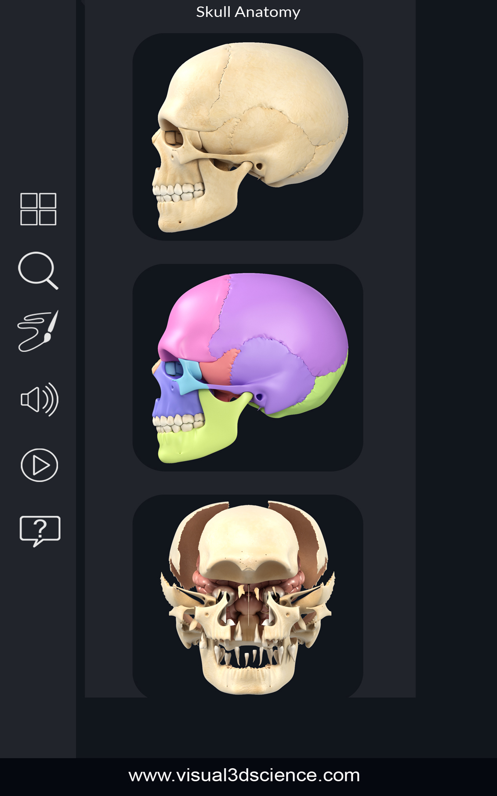 My Skull Anatomy - App on Amazon Appstore
