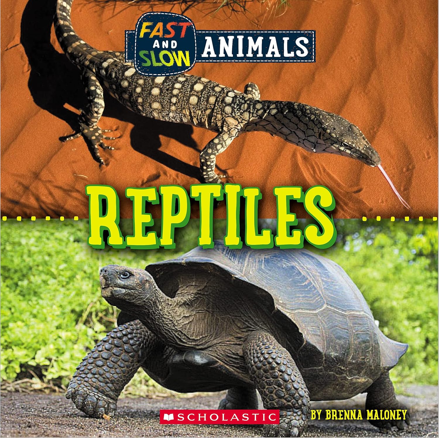 Reptiles (Wild World: Fast and Slow Animals): Maloney, Brenna ...