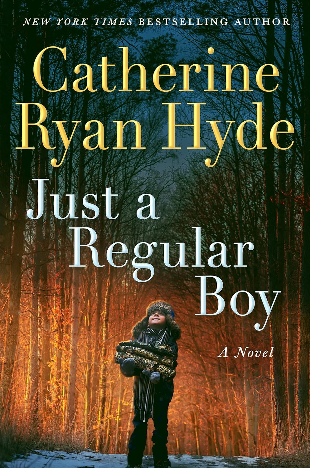 Just a Regular Boy: A Novel: Hyde, Catherine Ryan: 9781662504358 ...