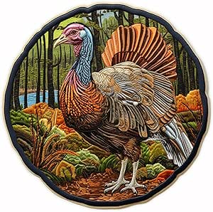 Amazon.com: Turkey Patch 3" Iron-on Embroidered Sublimated Applique for ...