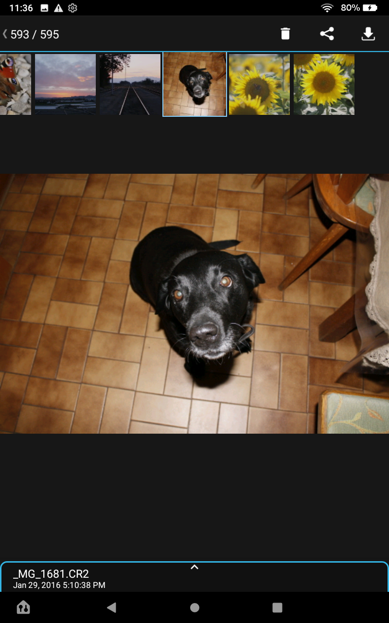 Camera Connect & Control - App on Amazon Appstore