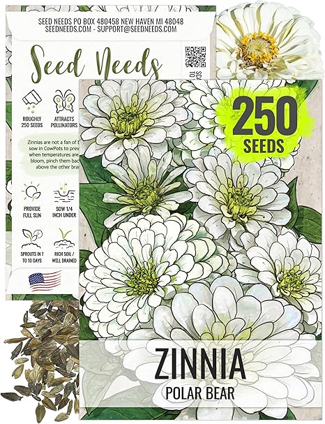 Amazon.com : Seed Needs Polar Bear White Zinnia Seeds for Planting ...
