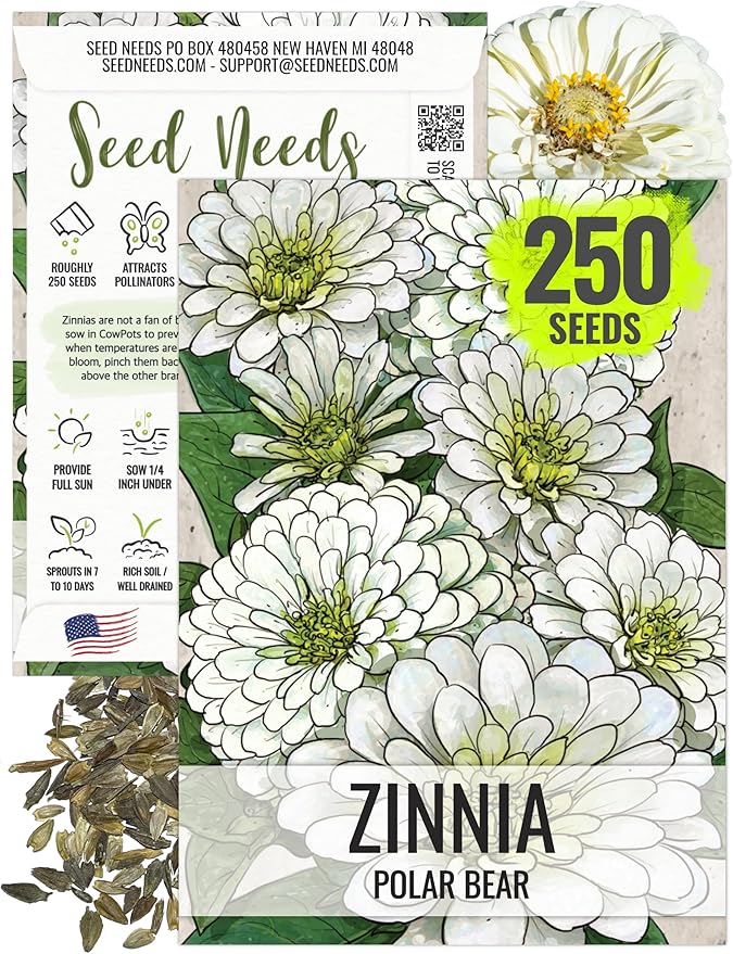 Amazon.com : Seed Needs Polar Bear White Zinnia Seeds for Planting ...