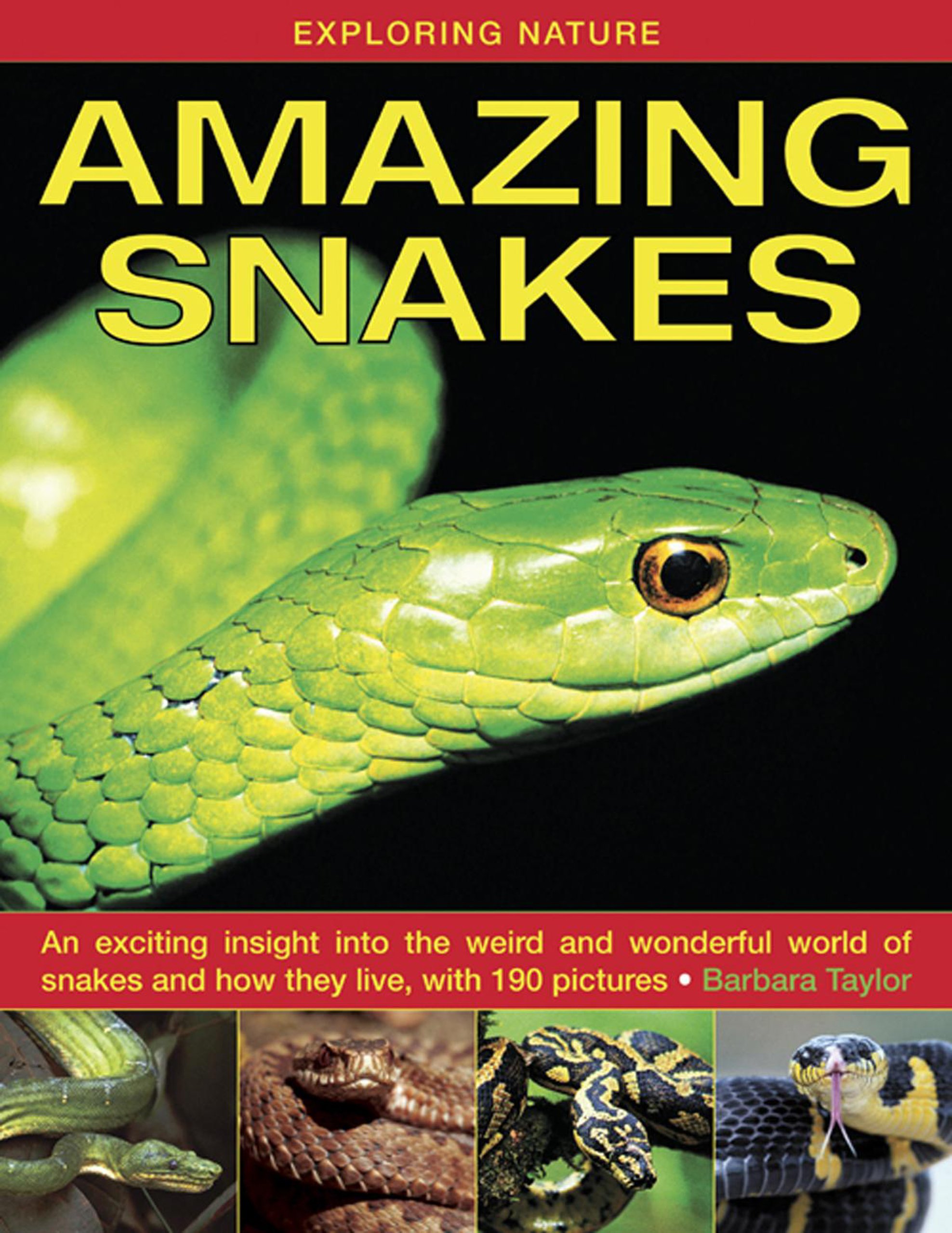 Buy Exploring Nature: Amazing Snakes: an Exciting In into the Weird and ...