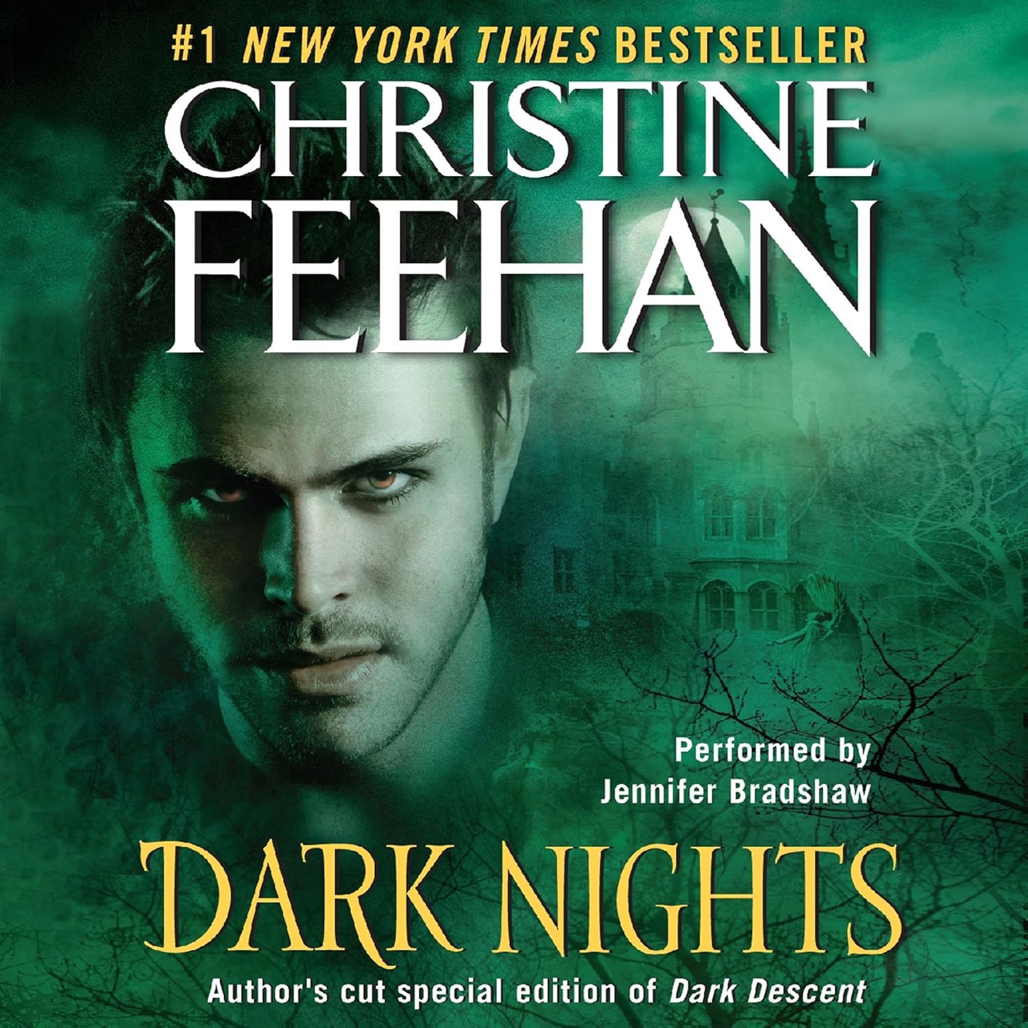 Amazon.com: Dark Nights (Audible Audio Edition): Christine Feehan ...