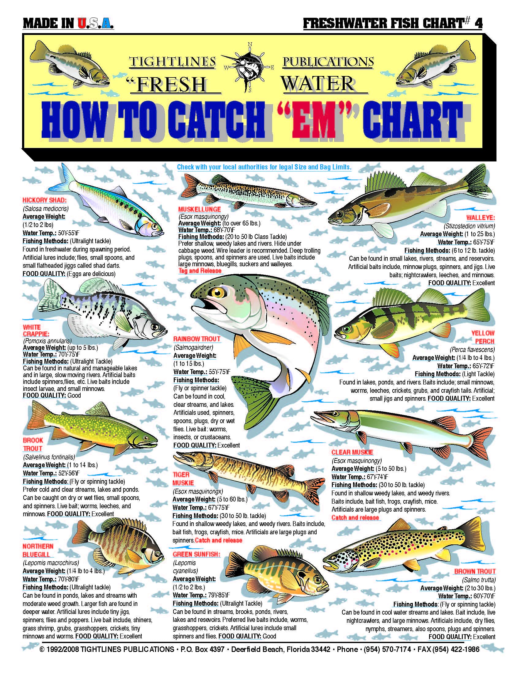 Amazon.com : How to Catch'em Freshwater Fish Identification #4 ...