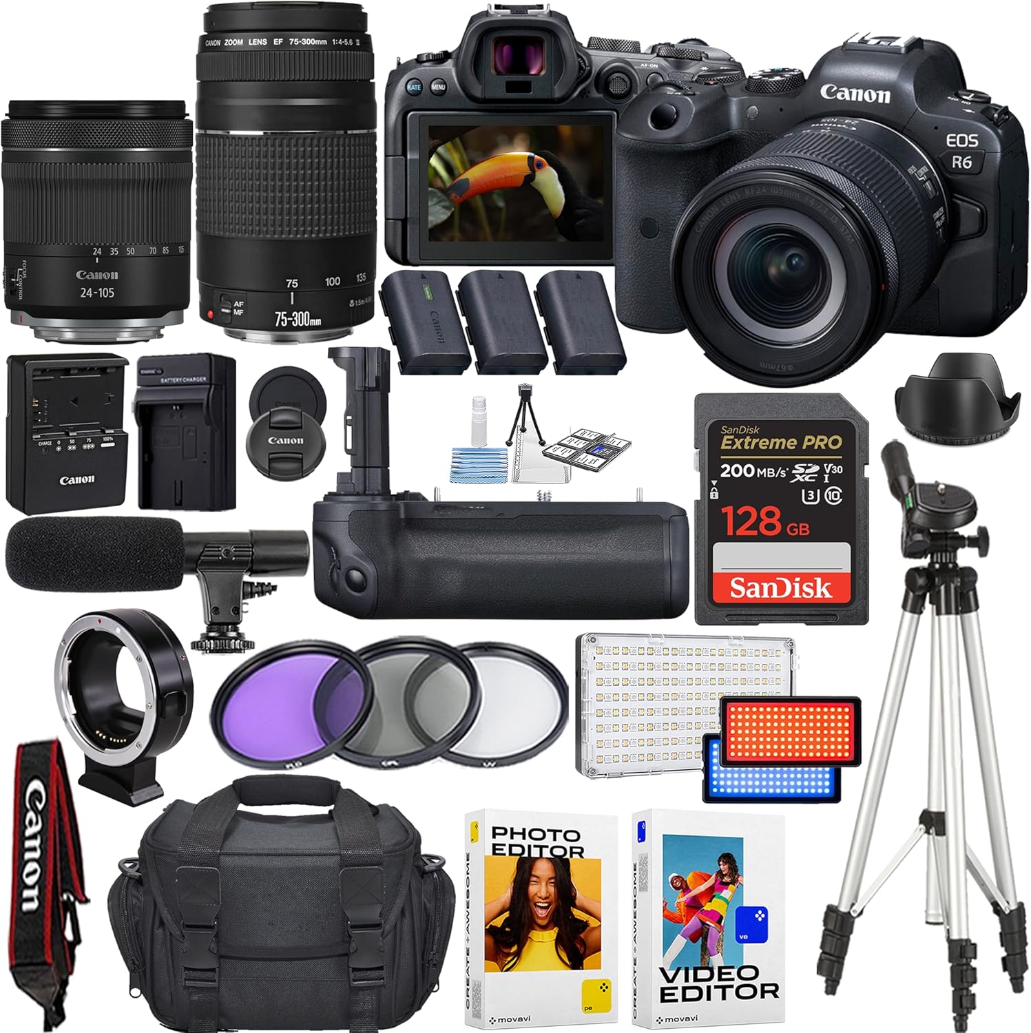 Amazon.com : Canon EOS R6 Mirrorless Camera w/RF 24-105mm f/4-7.1 is ...