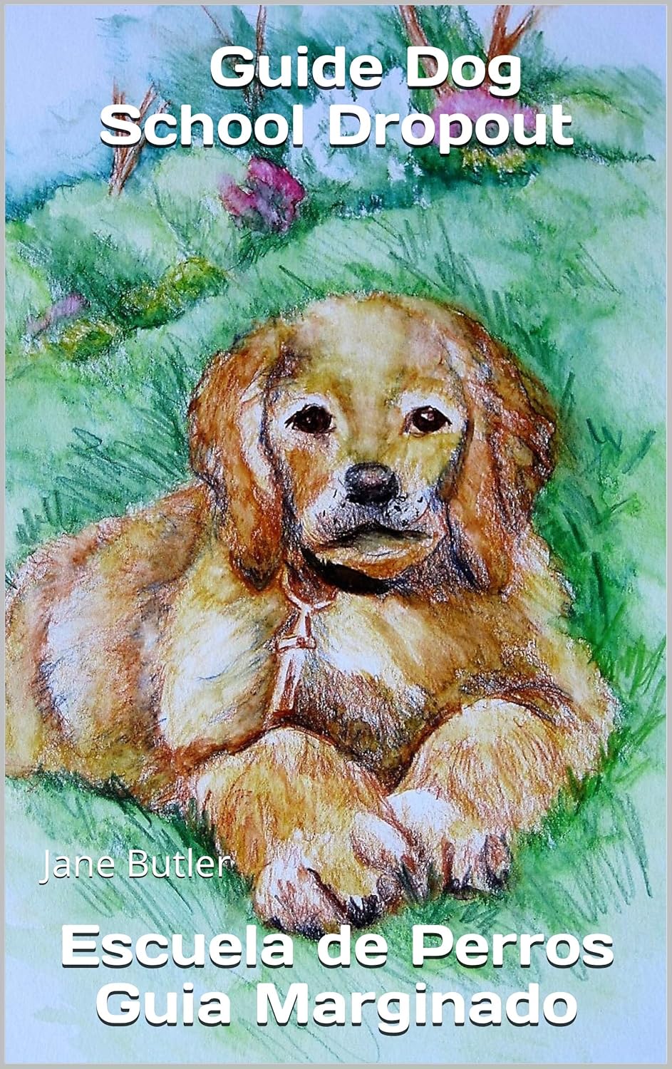 Guide Dog School Dropout: Jane Butler - Kindle edition by Marginado ...