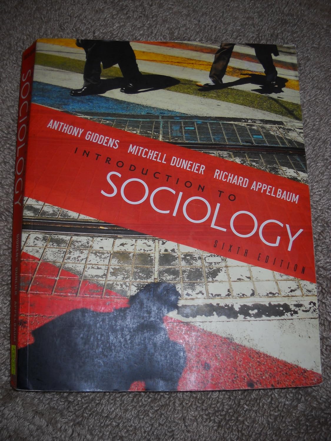 Amazon.com: Introduction to Sociology, 6th Edition: 9780767416917 ...