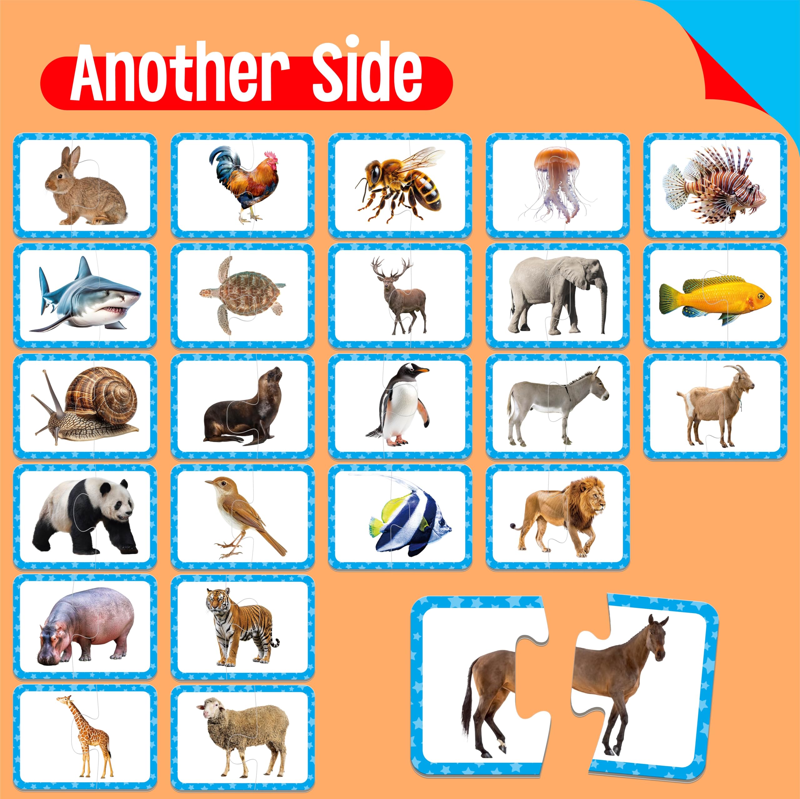 Snapklik.com : 48 Animal Matching Puzzles