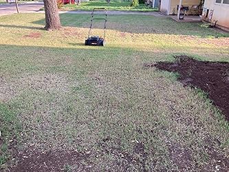 Amazon.com : Worx Nitro 40V Cordless 14" Lawn Dethatcher w/ Brushless ...