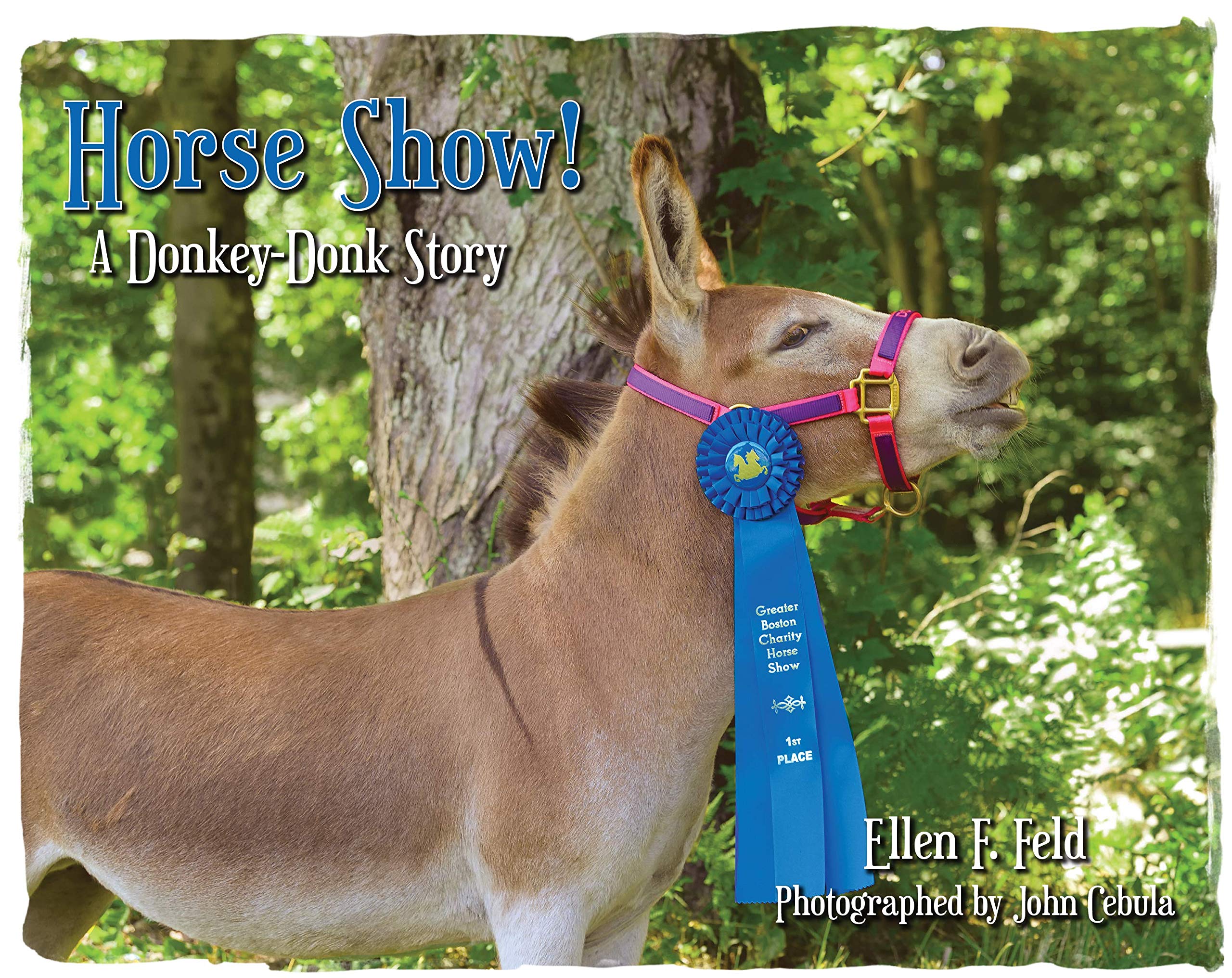 Horse Show! A Donkey-Donk Story (Donkey-Donk Series, Book 2) (The ...