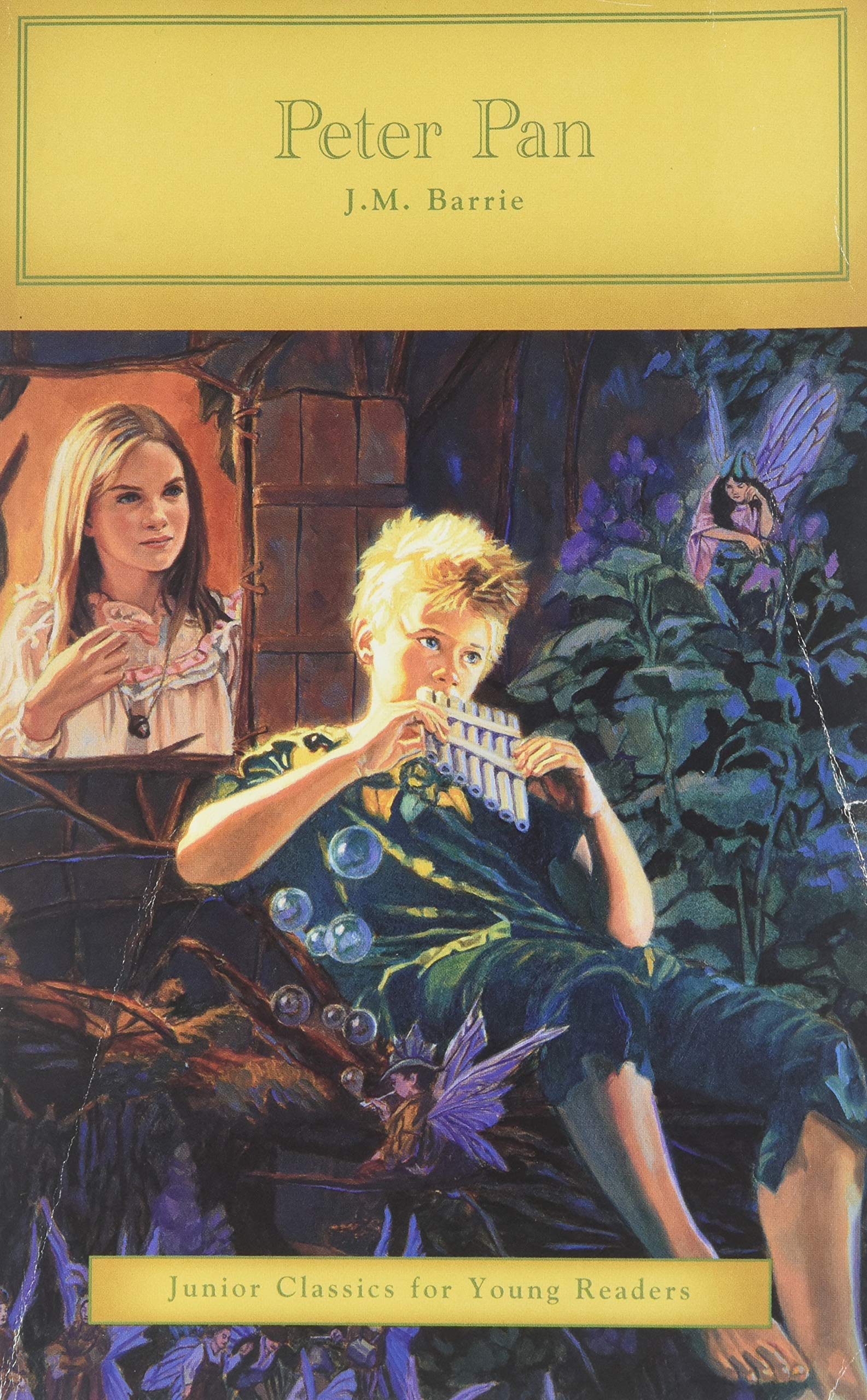 Peter Pan (Junior Classics for Young Readers): j-m-barrie ...