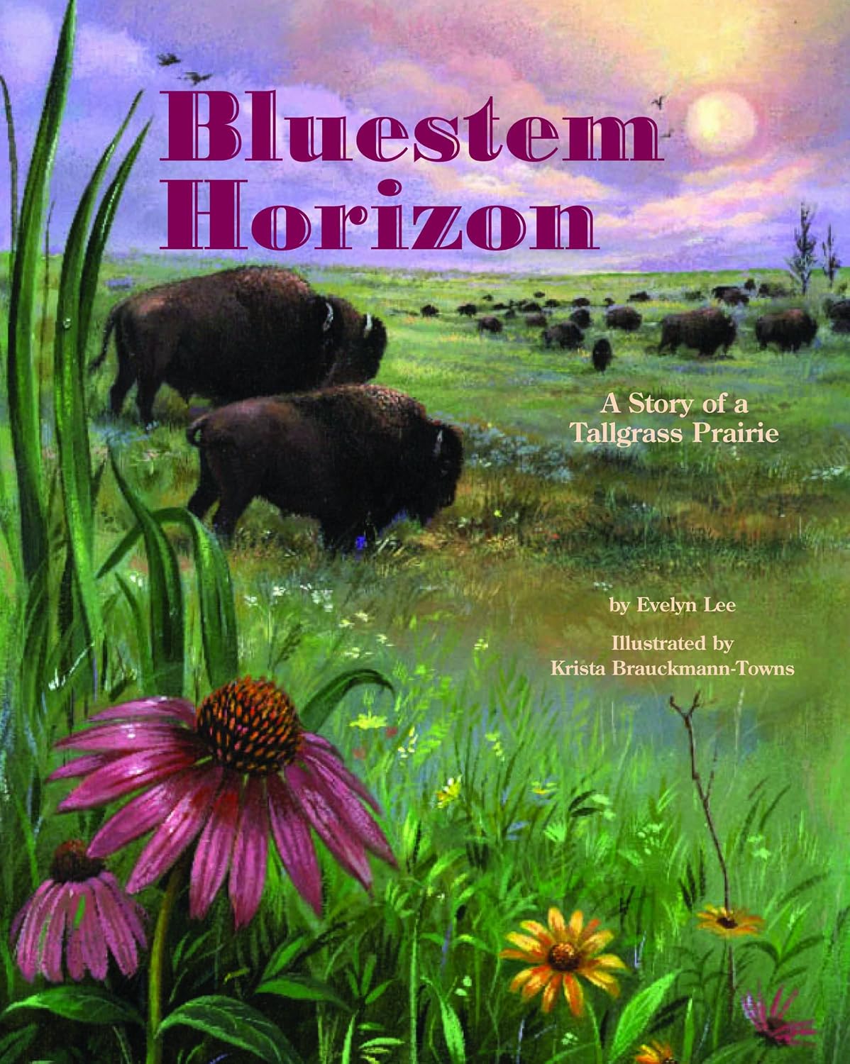Bluestem Horizon: A Story of a Tallgrass Prairie: Lee, Evelyn ...