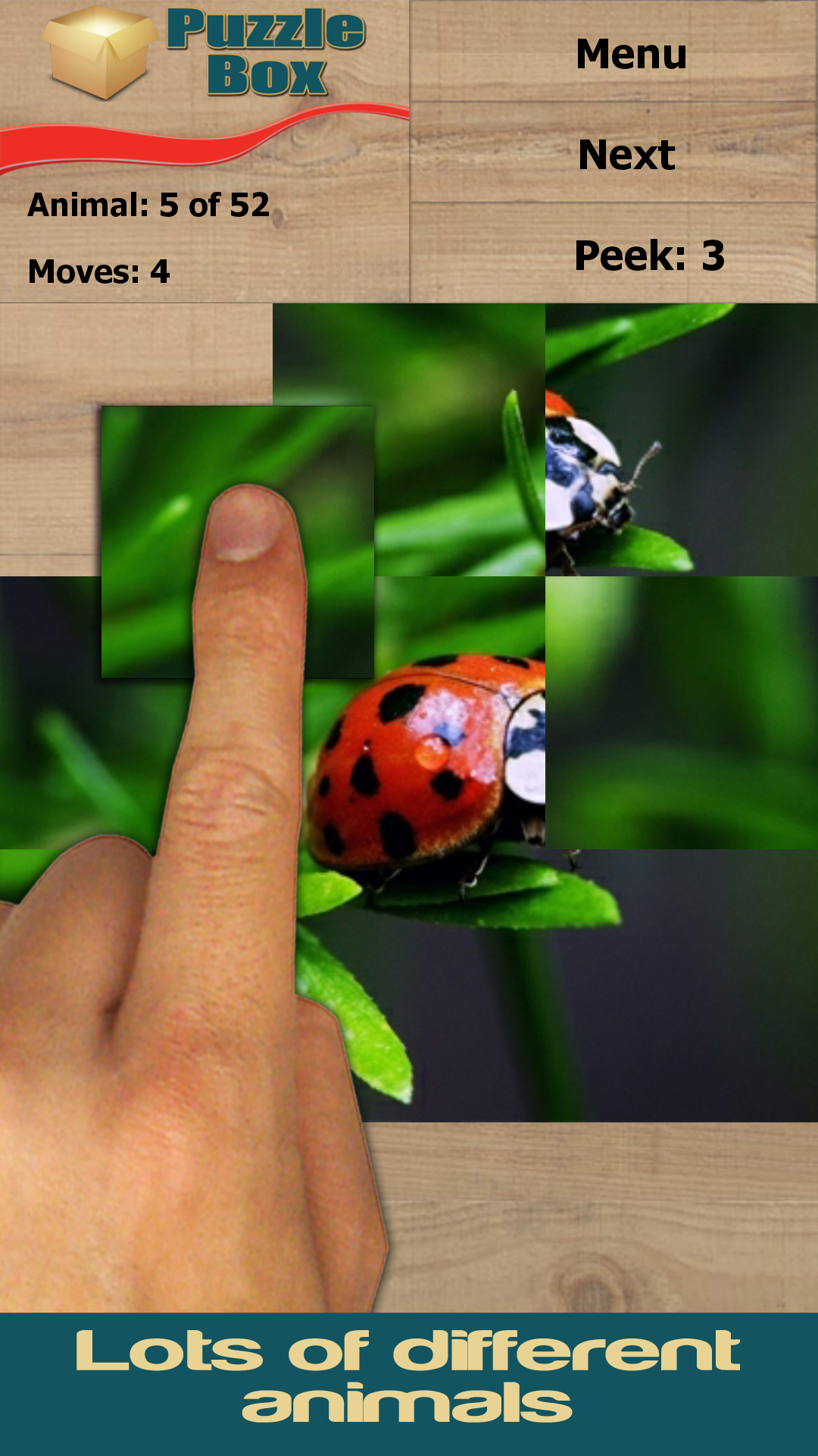 Animals Puzzle Box - App on Amazon Appstore