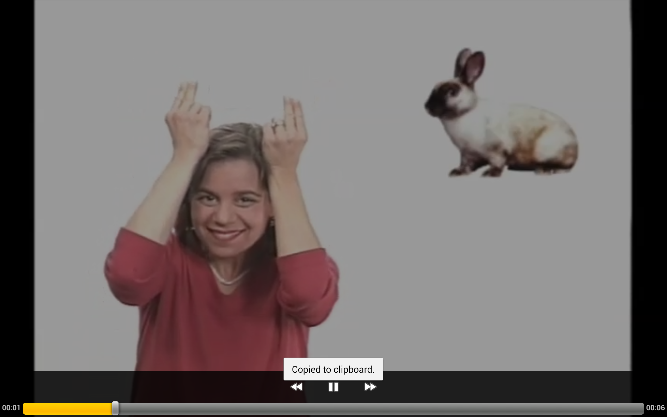 Vocabulary Builder™ 3 Video Flashcard player - App on the Amazon Appstore