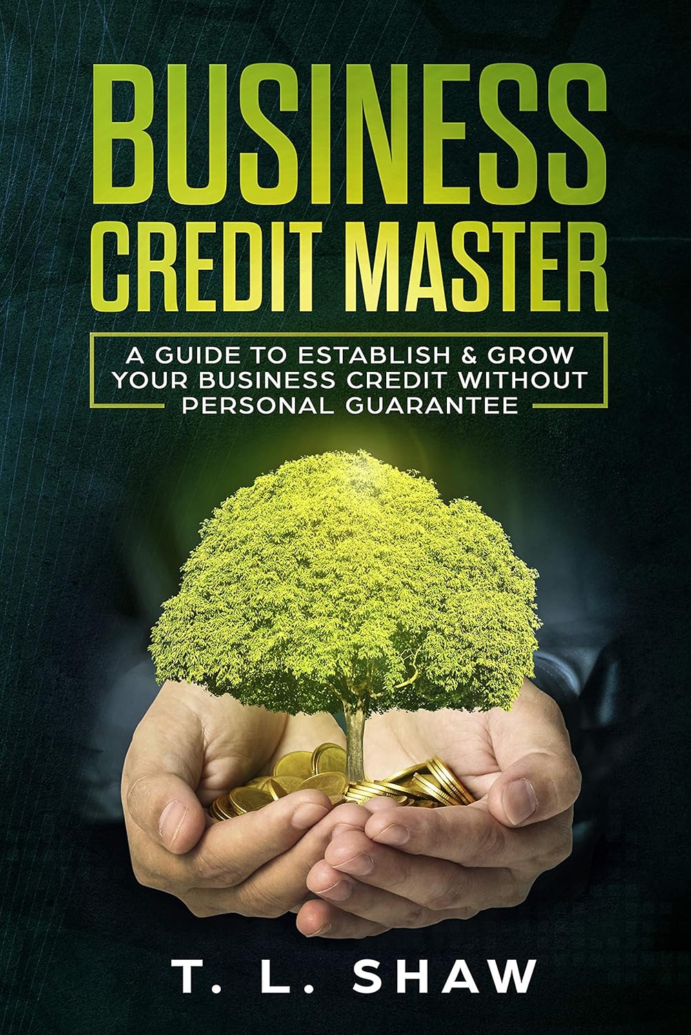 Business Credit Master: A Guide To Establish & Grow Your Business ...