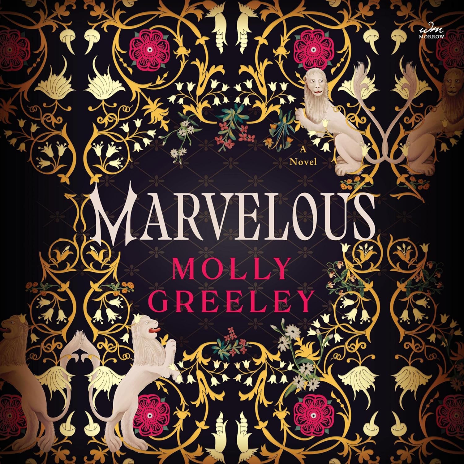 Amazon.com: Marvelous: A Novel (Audible Audio Edition): Molly Greeley ...