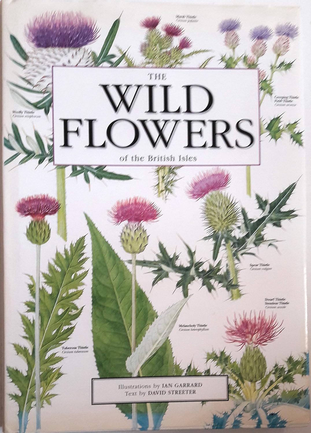 The Wild Flowers of the British Isles: Streeter, DAvid, Garrard, Ian ...