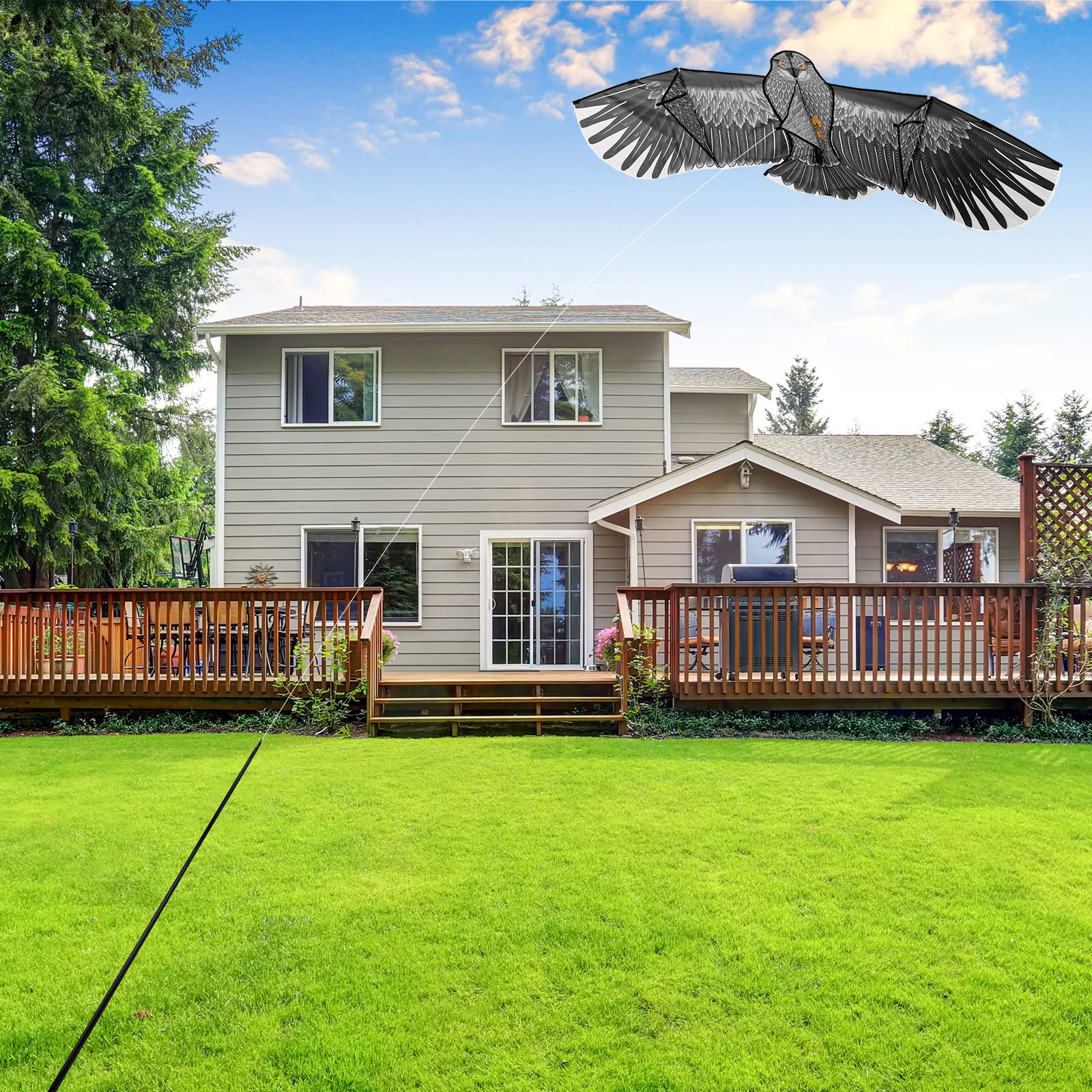 Sratte 2 Set Bird Scarer Flying Kite Eagle Deterrent Devices Outdoor ...