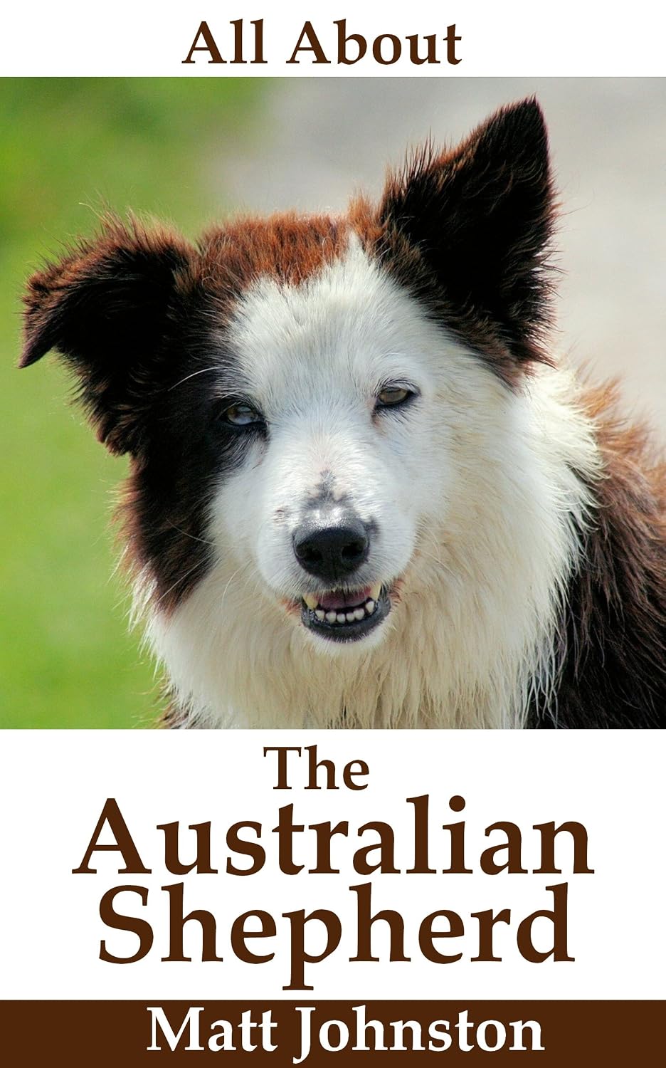 All About The Australian Shepherd (It's All About Dogs Book 1) eBook ...