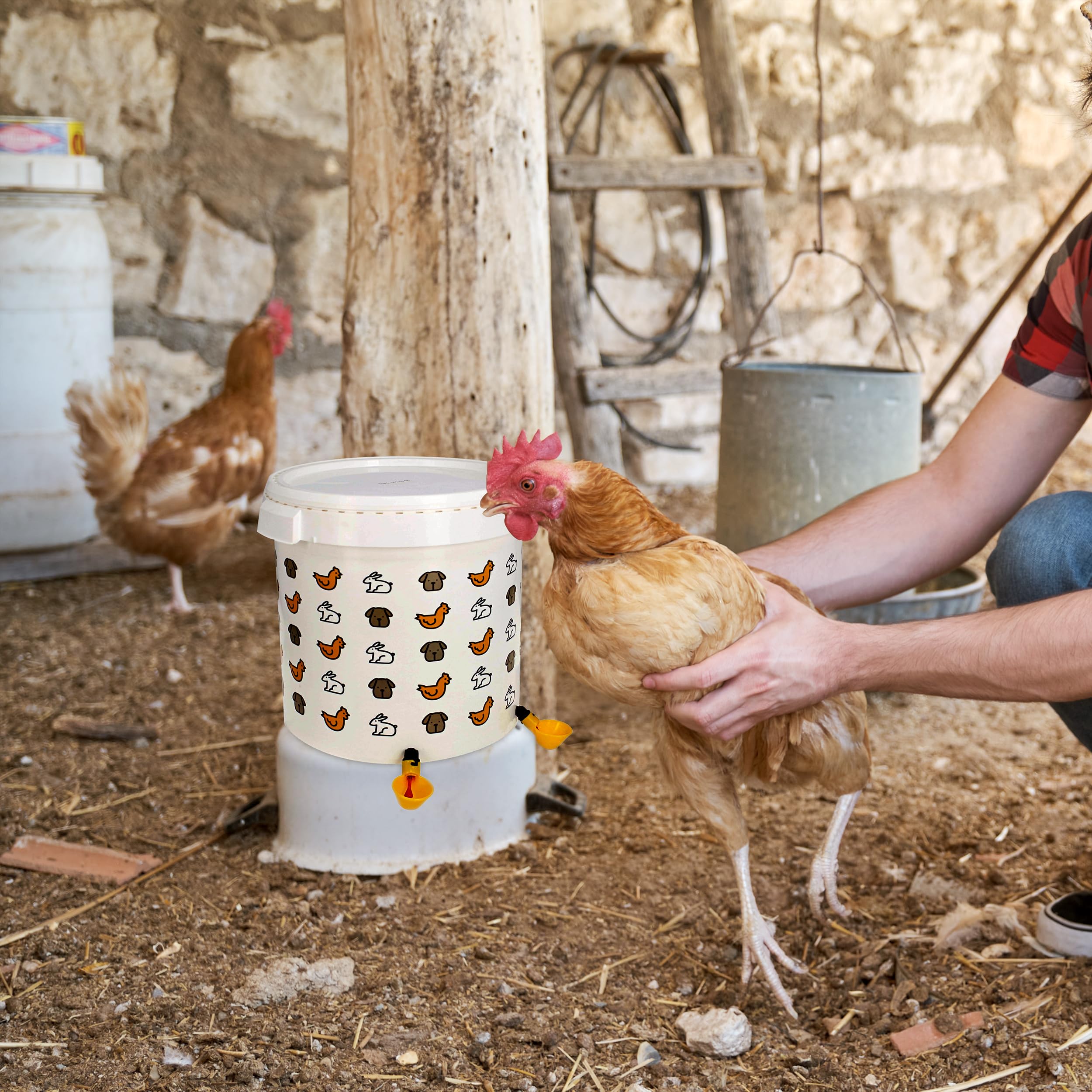 Backyard Chicken Watering Systems