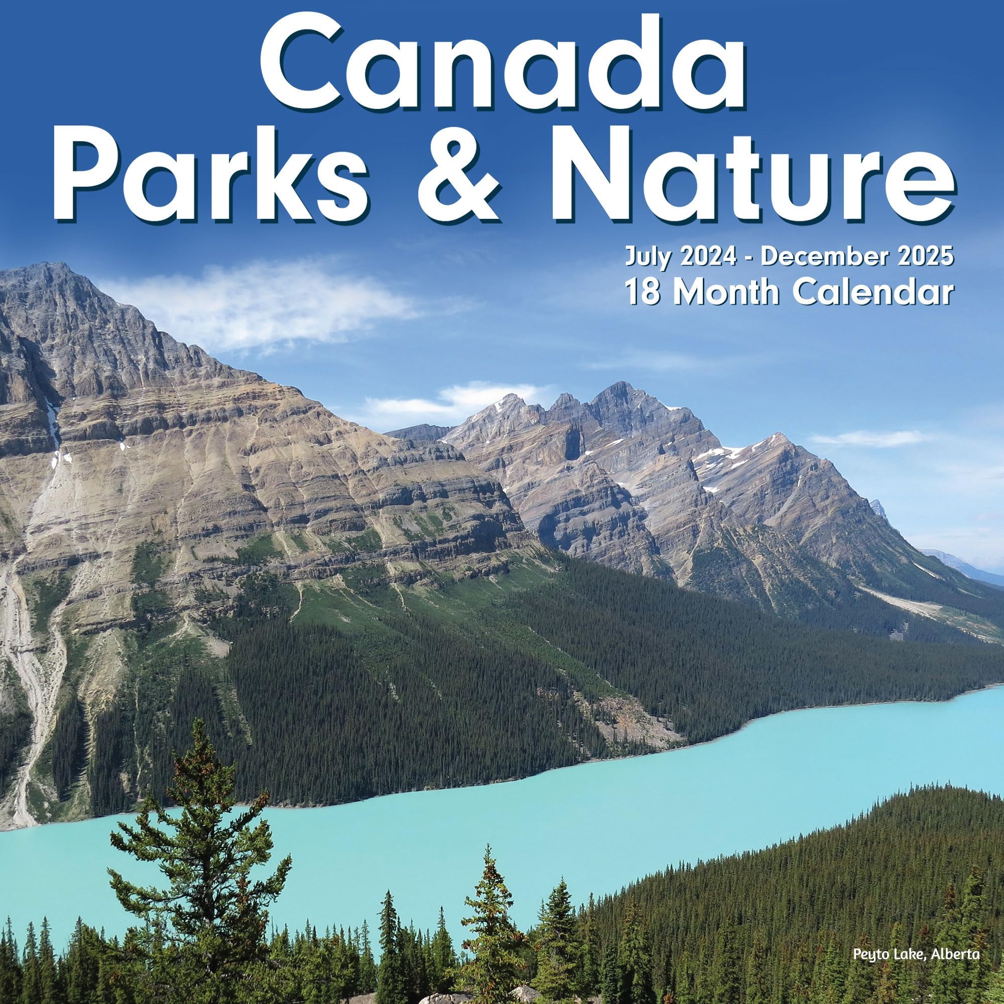 Canadian 18-Month Wall Calendar, 100% Biodegradable 11x17 Inch (Open ...
