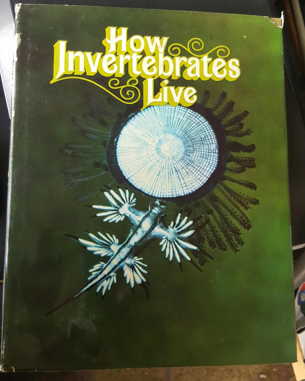 How Invertebrates Live: Mash, Kaye: 9780729000246: Amazon.com: Books
