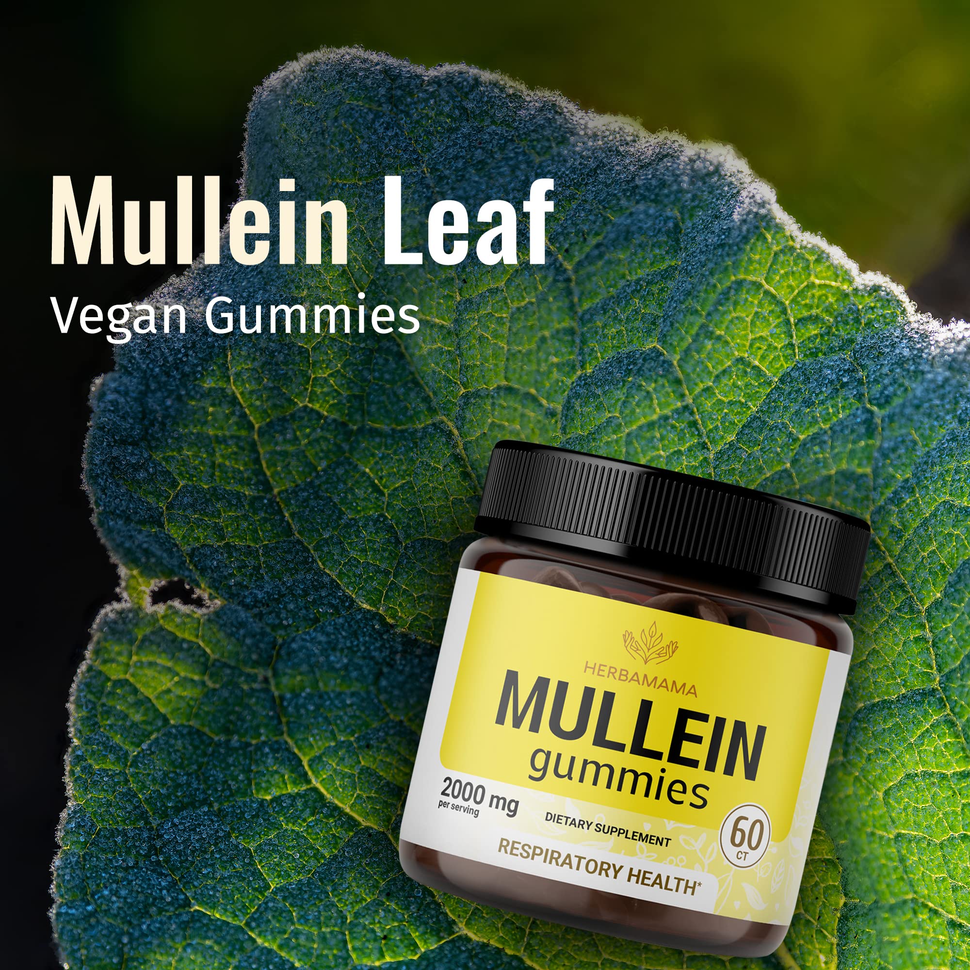 Snapklik.com : HERBAMAMA Mullein Gummies - Mullein Leaf Dietary ...