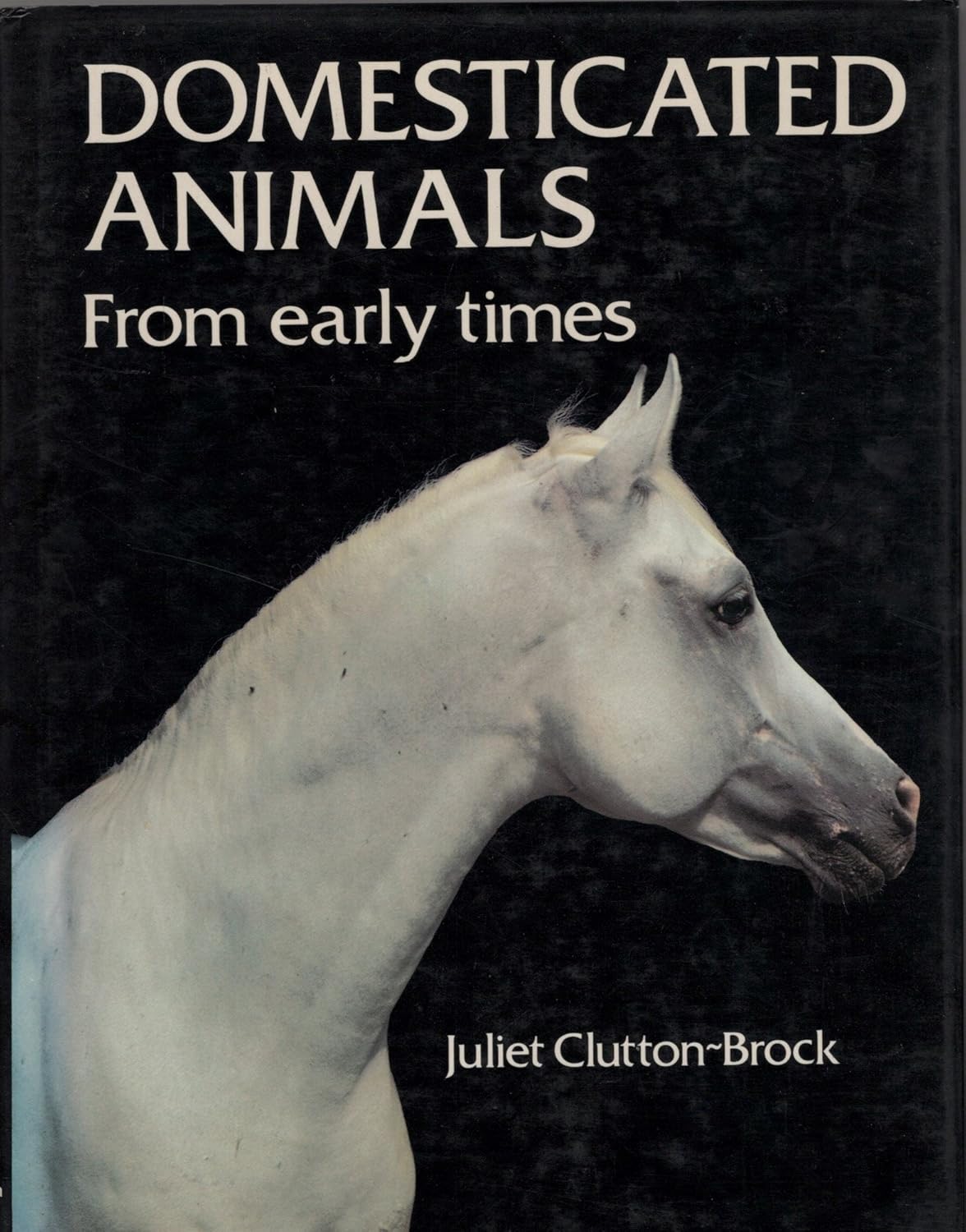 Domesticated Animals from Early Times: Juliet Clutton- Brock ...