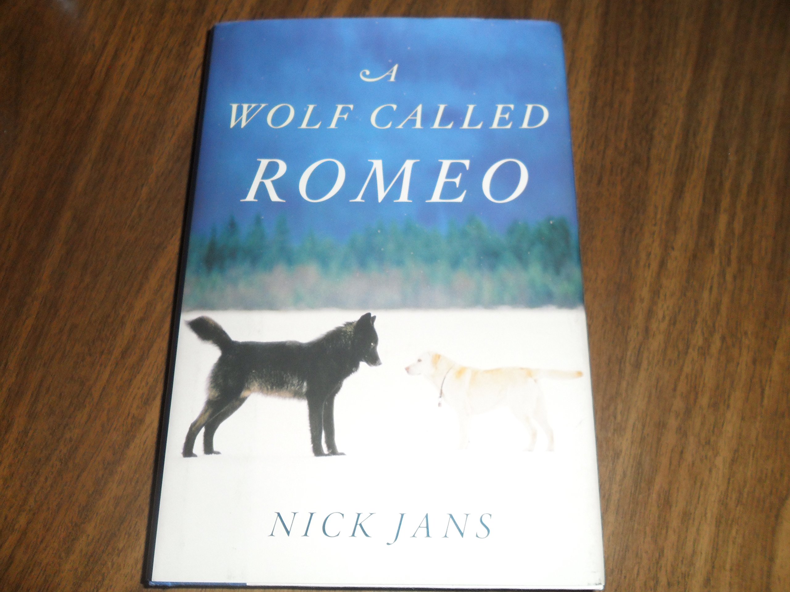 A Wolf Called Romeo: Jans, Nick: 9780547858197: Amazon.com: Books