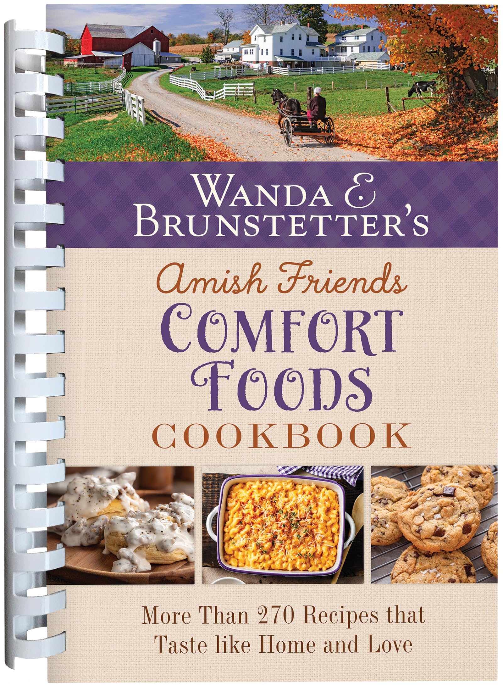 Wanda E. Brunstetter's Amish Friends Comfort Foods Cookbook: More Than ...