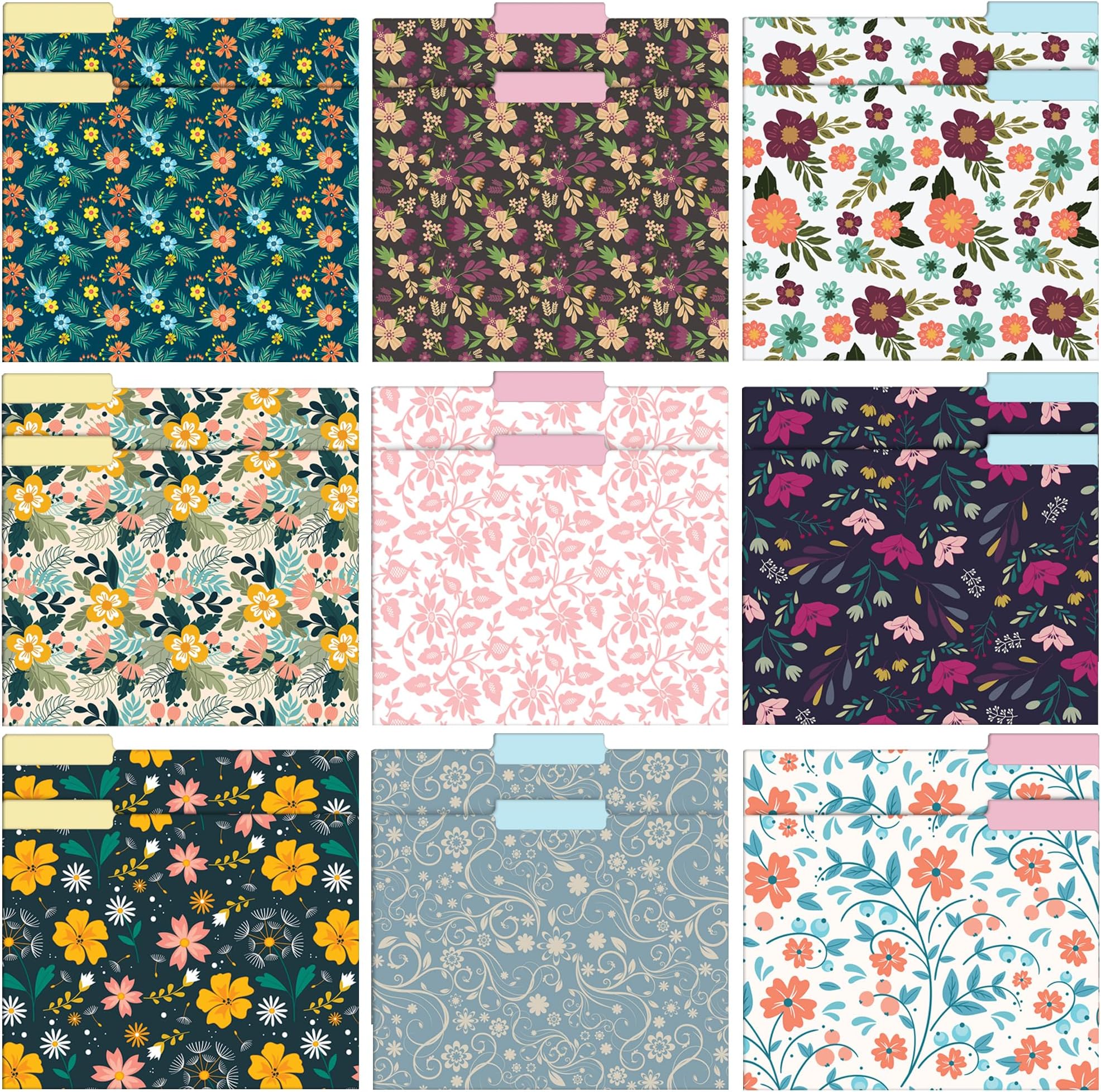 Amazon.com : Punch Studio Decorative Royal Peacock Letter Size File ...