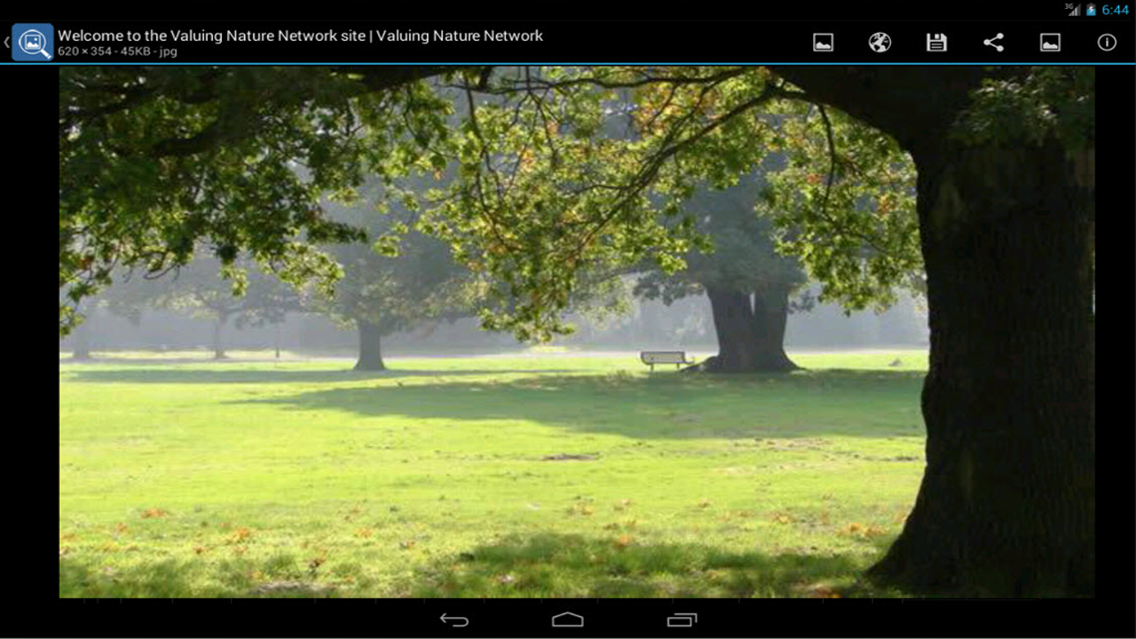 PicFinder - Image Search - App on Amazon Appstore